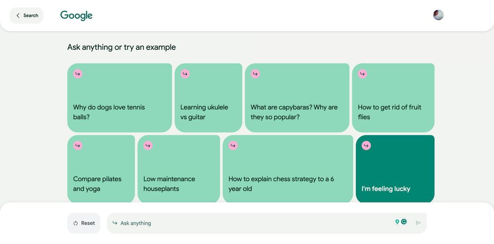 Search Generative Experience: How to Try New AI-Powered Browsing Today